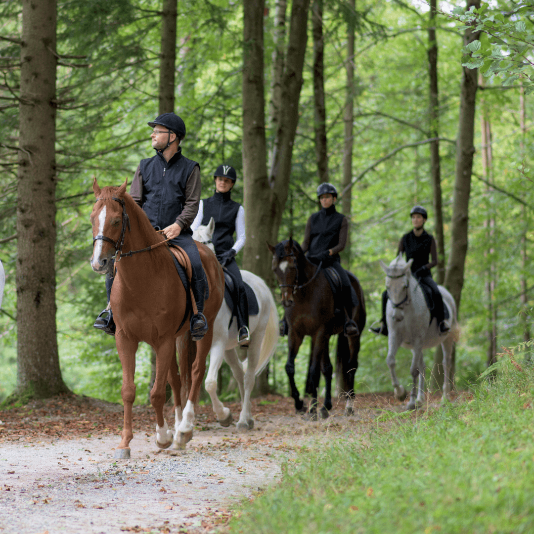 Activități PurpleVague | Indoor și Outdoor